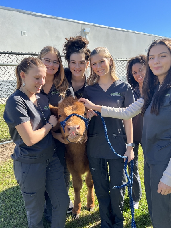 Beachside High School Veterinary Academy - Pets R Family